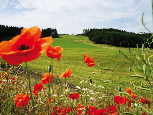 Hotel Rimberg - 4-Sterne Wellnesshotel im Sauerland