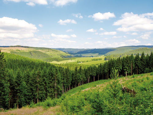 Hotel Rimberg - 4-Sterne Wellnesshotel im Sauerland