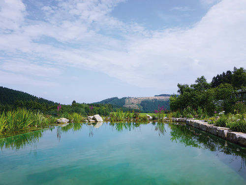 Hotel Rimberg - 4-Sterne Wellnesshotel im Sauerland
