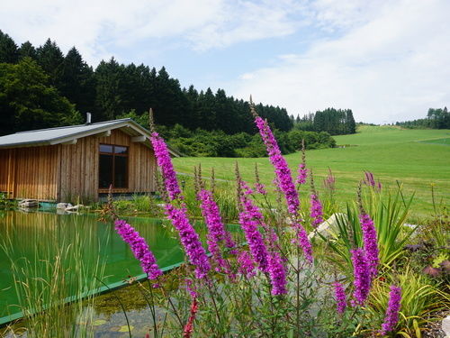 Hotel Rimberg - 4-Sterne Wellnesshotel im Sauerland